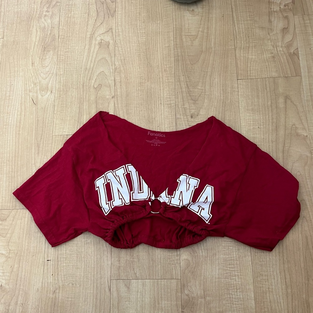 Snipped By Steph Indiana University Ring Crop Top - Gem
